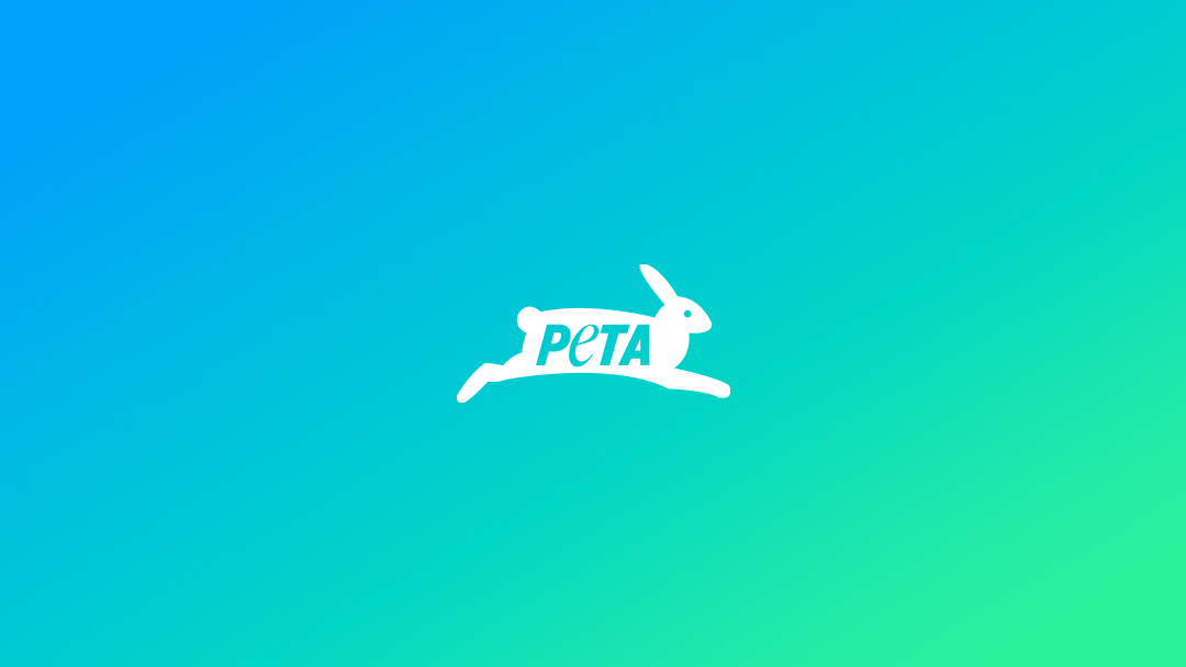 Cane Toad Hunting: Why Cruelty to Animals Is Never the Answer - PETA ...