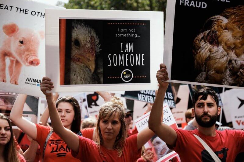 These Photos Show Australia Is Leading the Way in Animal Activism