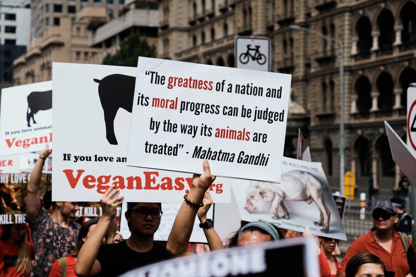 These Photos Show Australia Is Leading the Way in Animal Activism