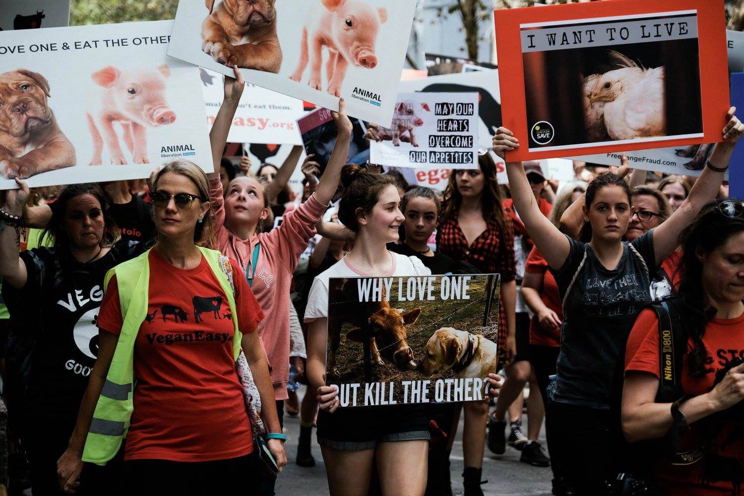 These Photos Show Australia Is Leading the Way in Animal Activism