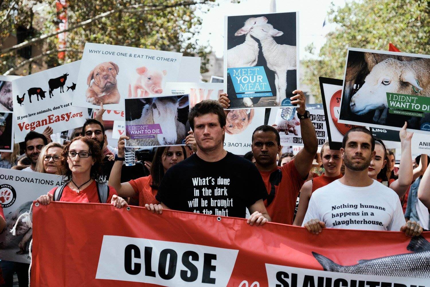 These Photos Show Australia Is Leading the Way in Animal Activism