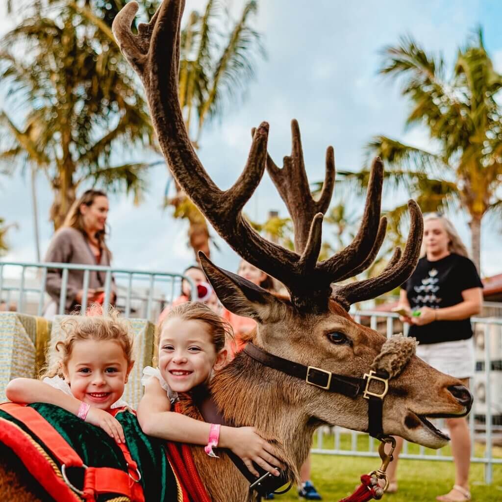 Reindeer Are Not Decorations! Christmas Parades Are No Party for ...