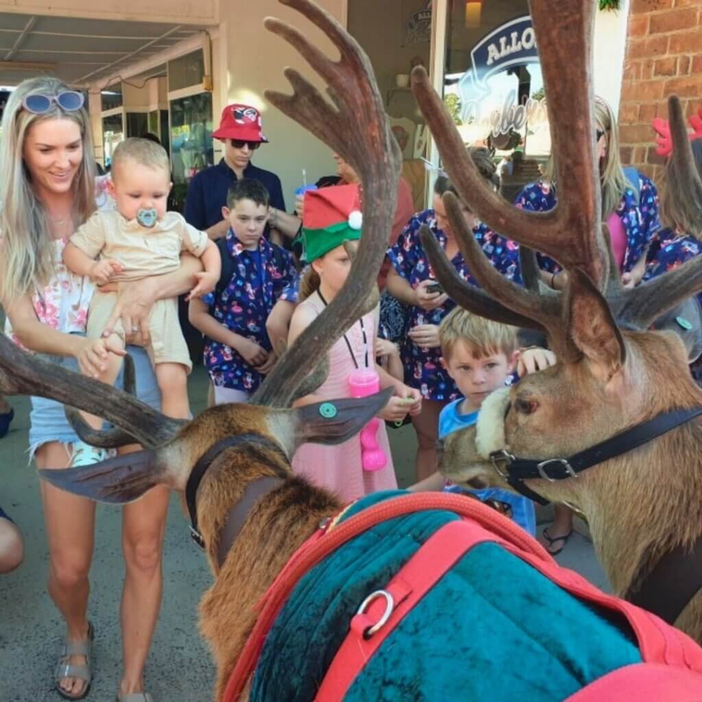 Reindeer Are Not Decorations! Christmas Parades Are No Party for ...