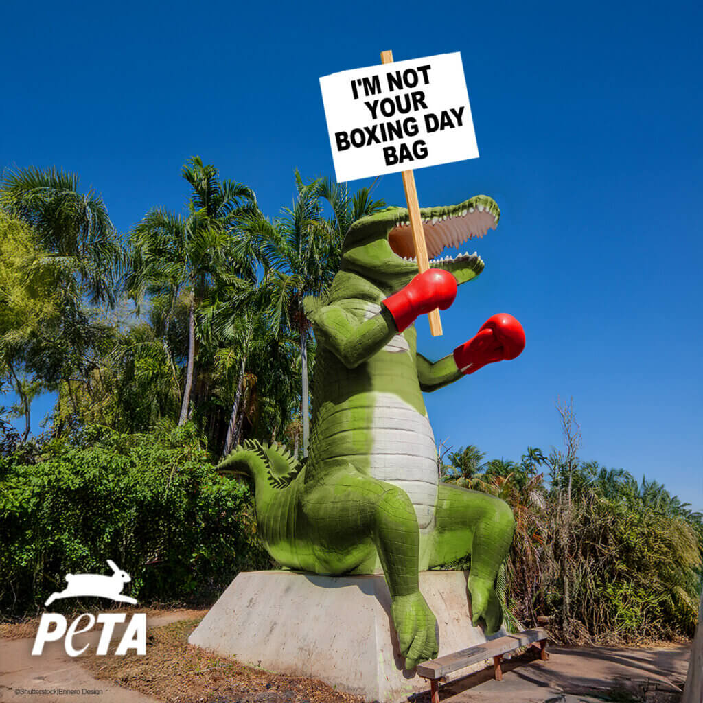 PETA Proposes Anti-Croc Skin Placard For Big Boxing Croc - News - PETA ...