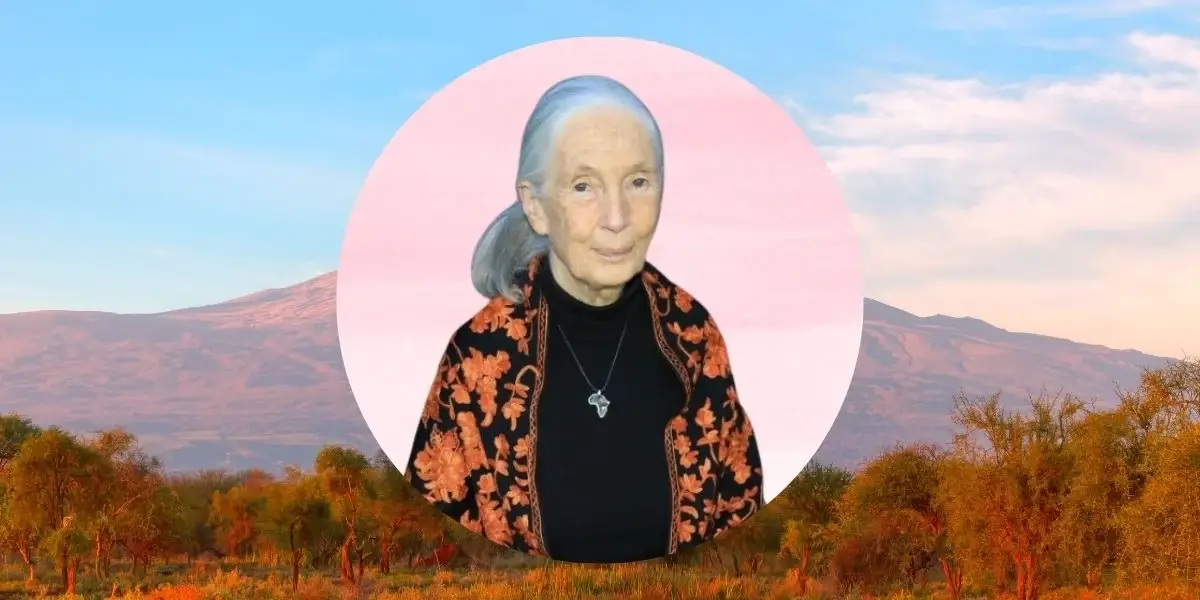 PETA Names Dr Jane Goodall the 2025 Person of the Year - News - PETA ...