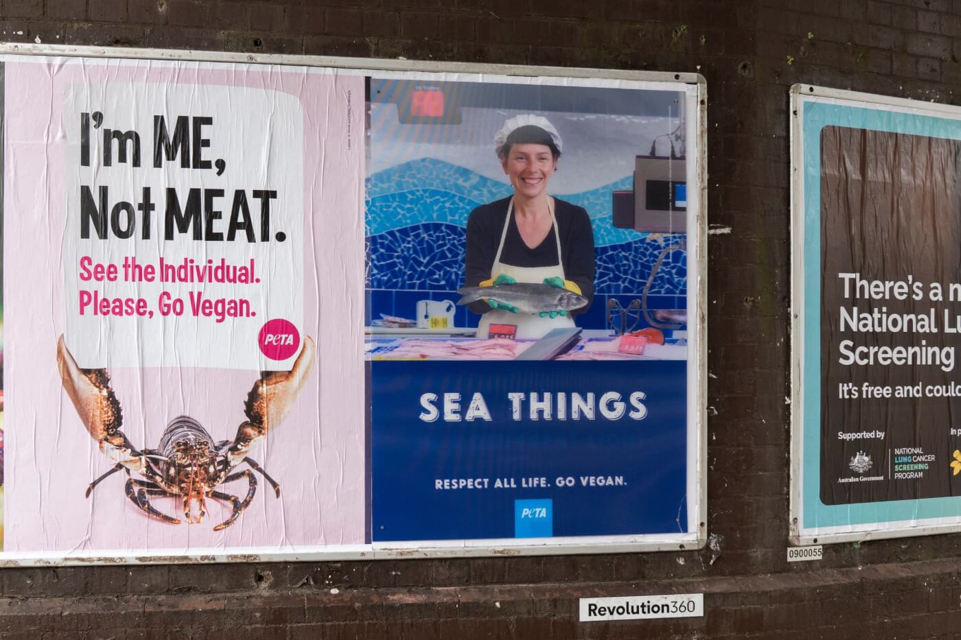 Eating Fish Like Eating Felines, “Dead Cat” PETA Ad Confronts Sydney ...