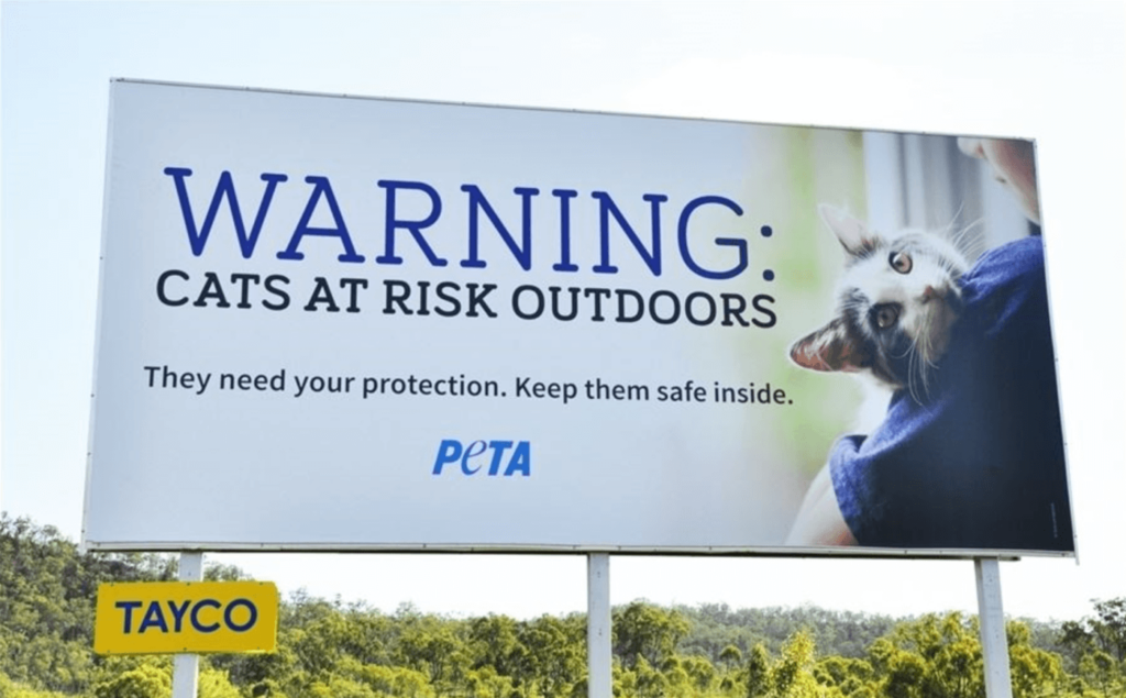 Australia's Feral Cat Problem - PETA Australia