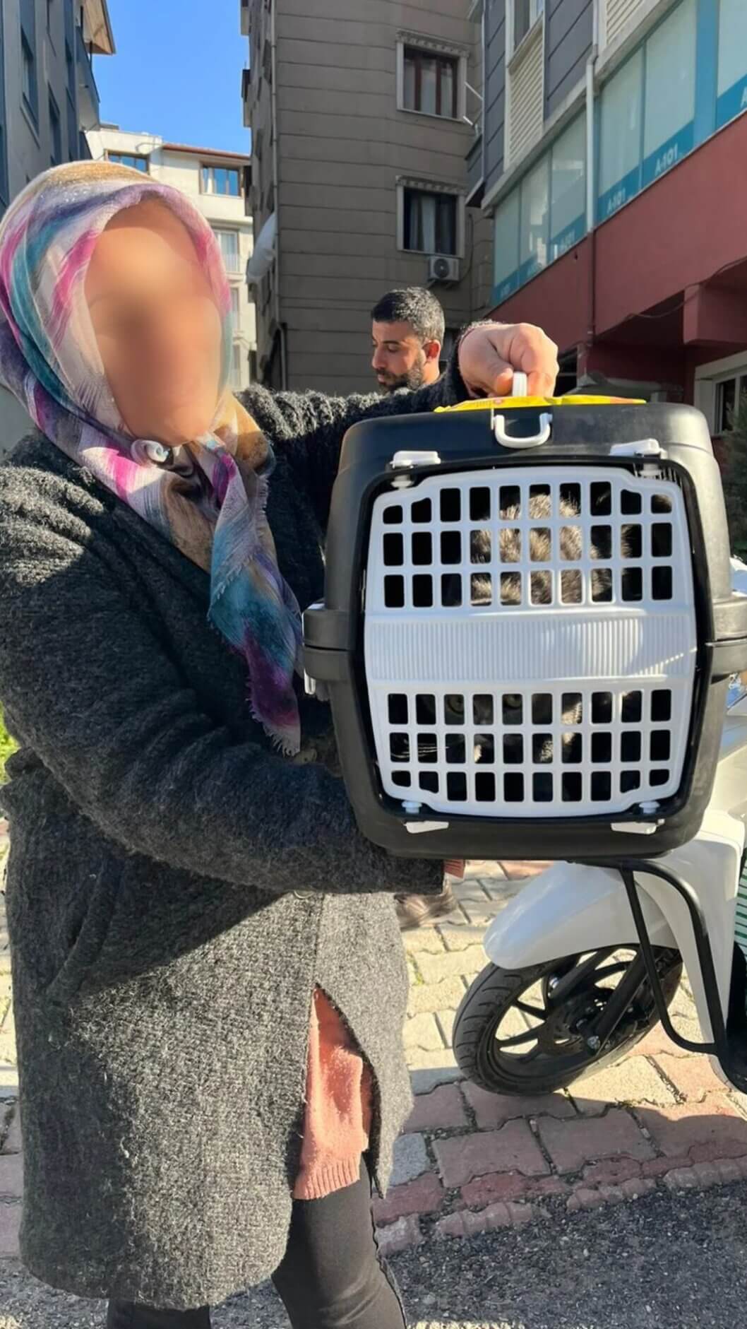 Earthquake Updates: PETA UK’s Rescuing Cats, Dogs, and Birds Trapped ...