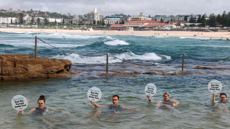 ‘Mice’ Protest Lab Experiments With Bondi Beach Swim - News - PETA ...