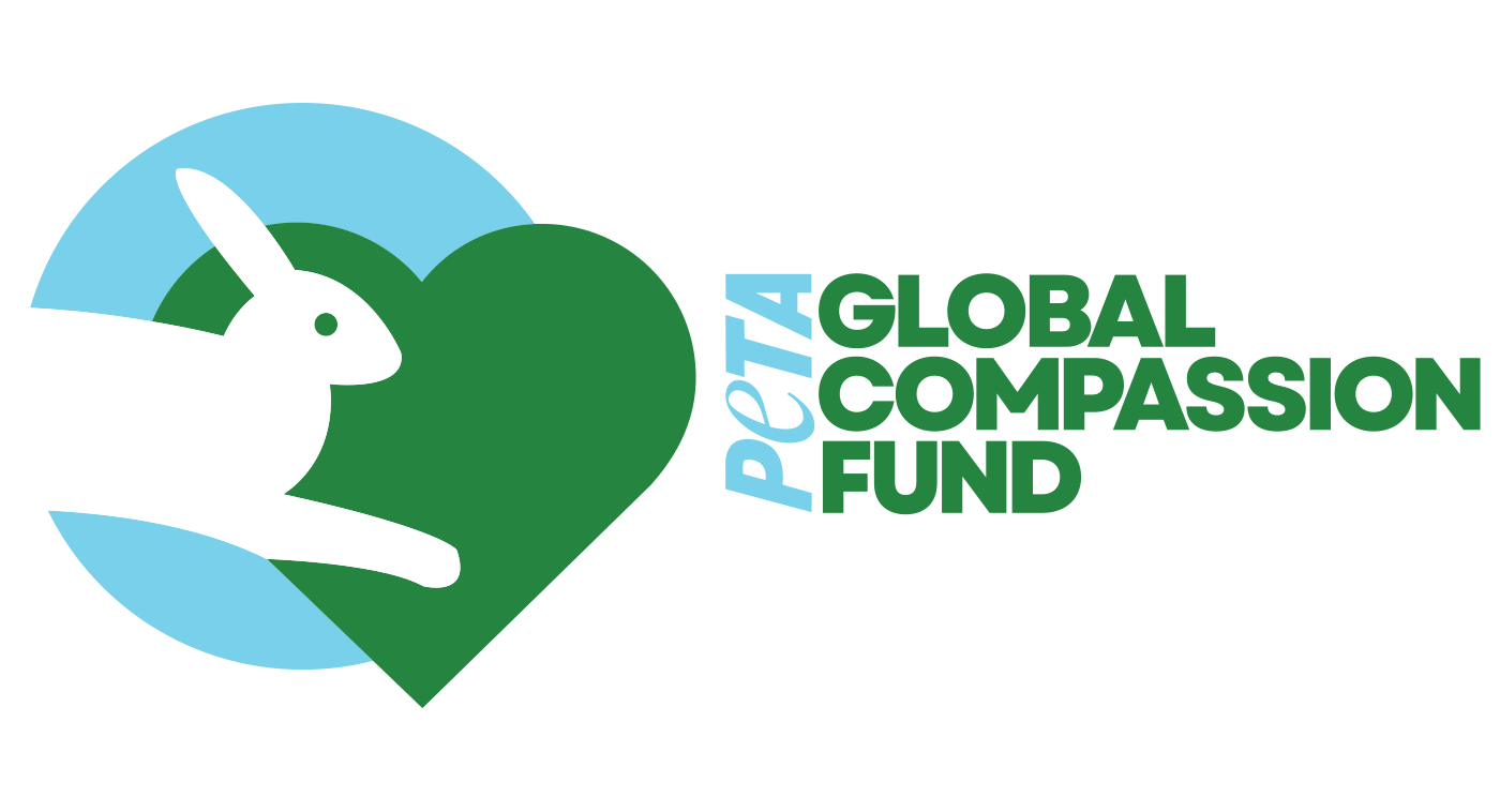 Welcome to PETA’s Global Compassion Fund Fireside Chat! - PETA Australia