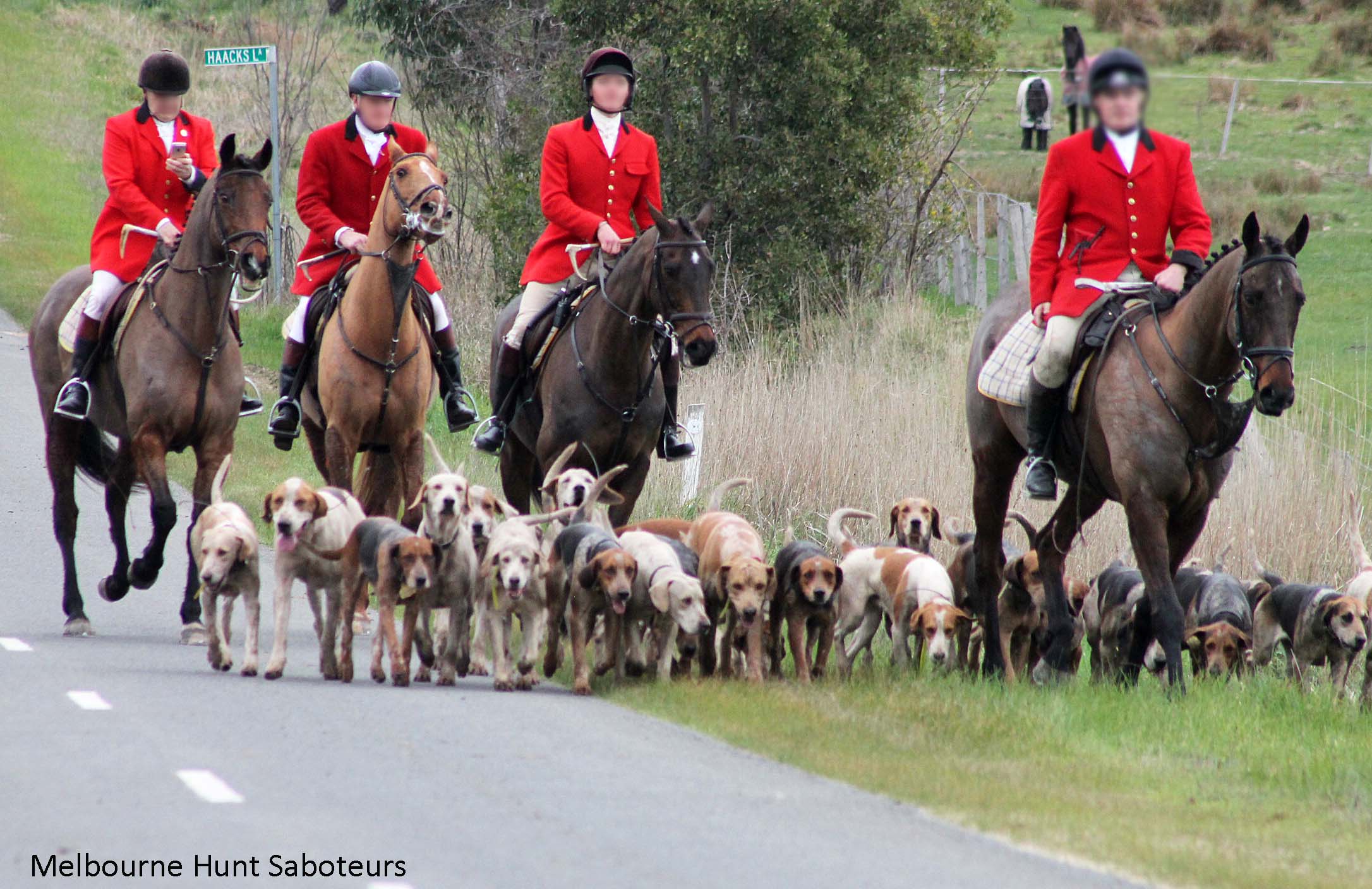 Melbourne Hunt Club Seeks Approval for Breeding and Boarding ...