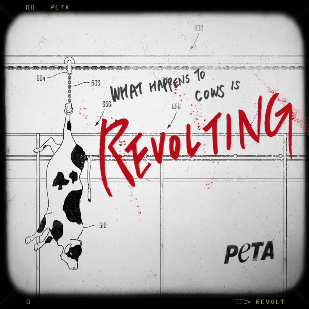 Revolt! Take a Stand Against the Dairy Industry's Treatment of Cows ...