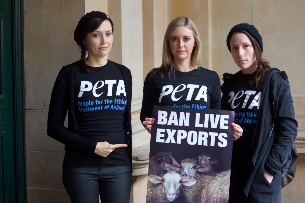2018 PETA Australia Round-Up – Thank You for All Your Support - News ...