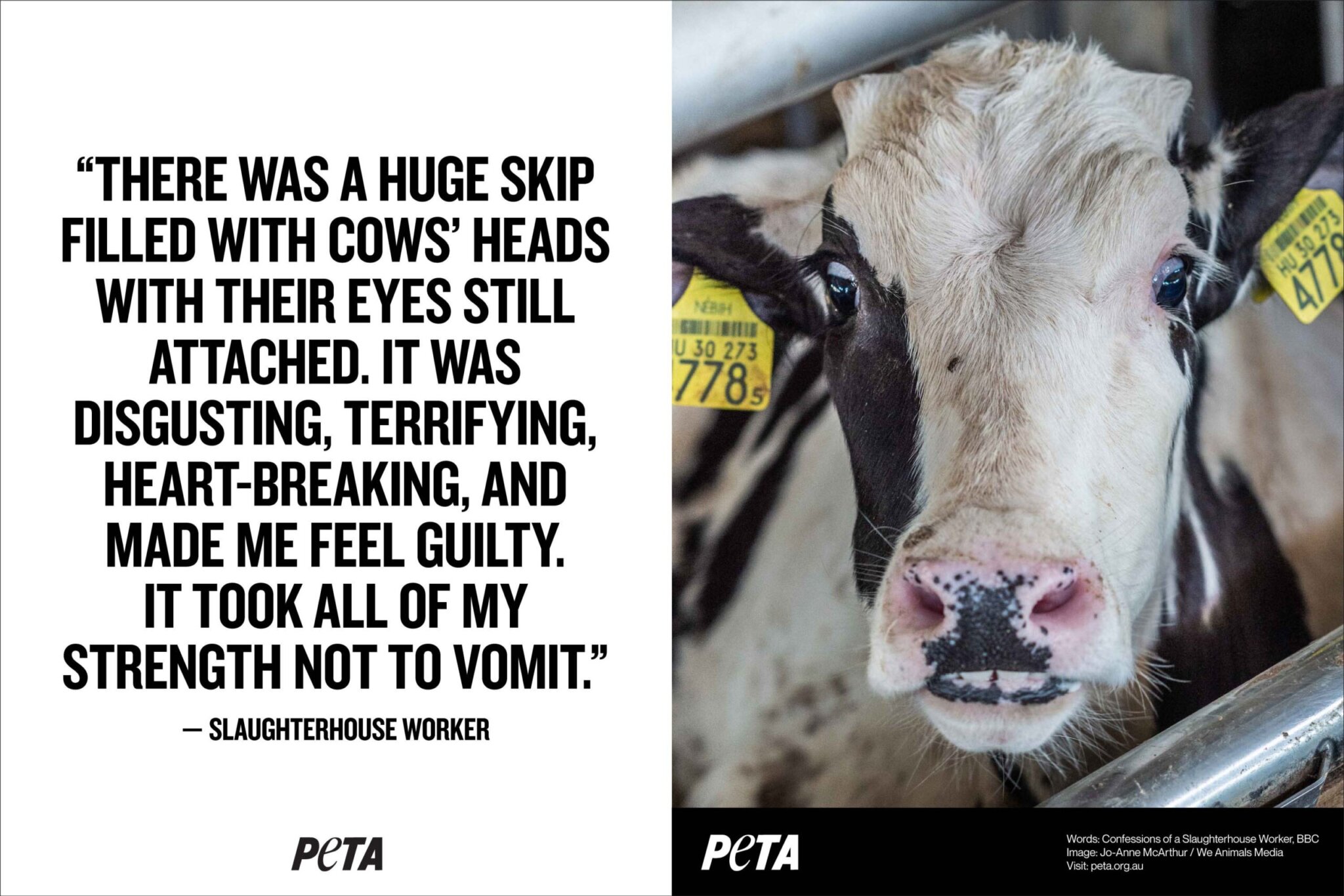 Killing for a Living: Heartbreaking Confessions From Slaughterhouse ...