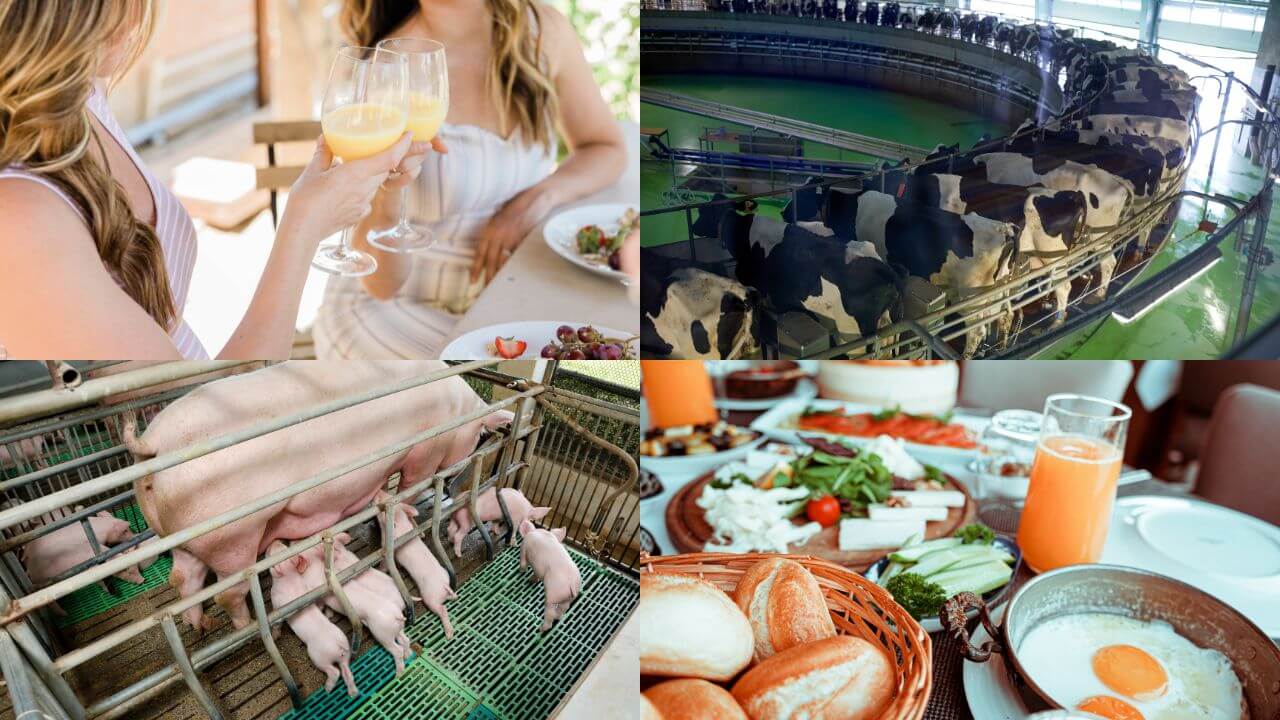 The Dead Mums at Mother’s Day Brunches Also Loved their Babies - News ...