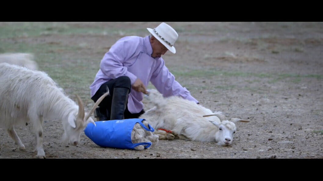 What Dirty Secrets Are Stitched Into a Cashmere Scarf? - News - PETA ...