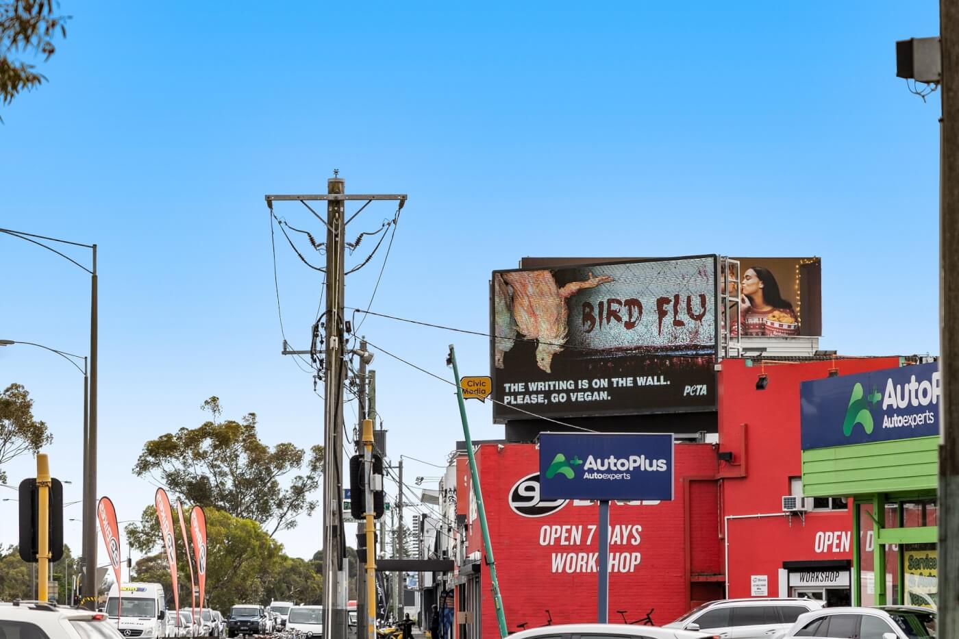 'The Writing Is on the Wall': Bird Flu Warning From PETA - News - PETA ...