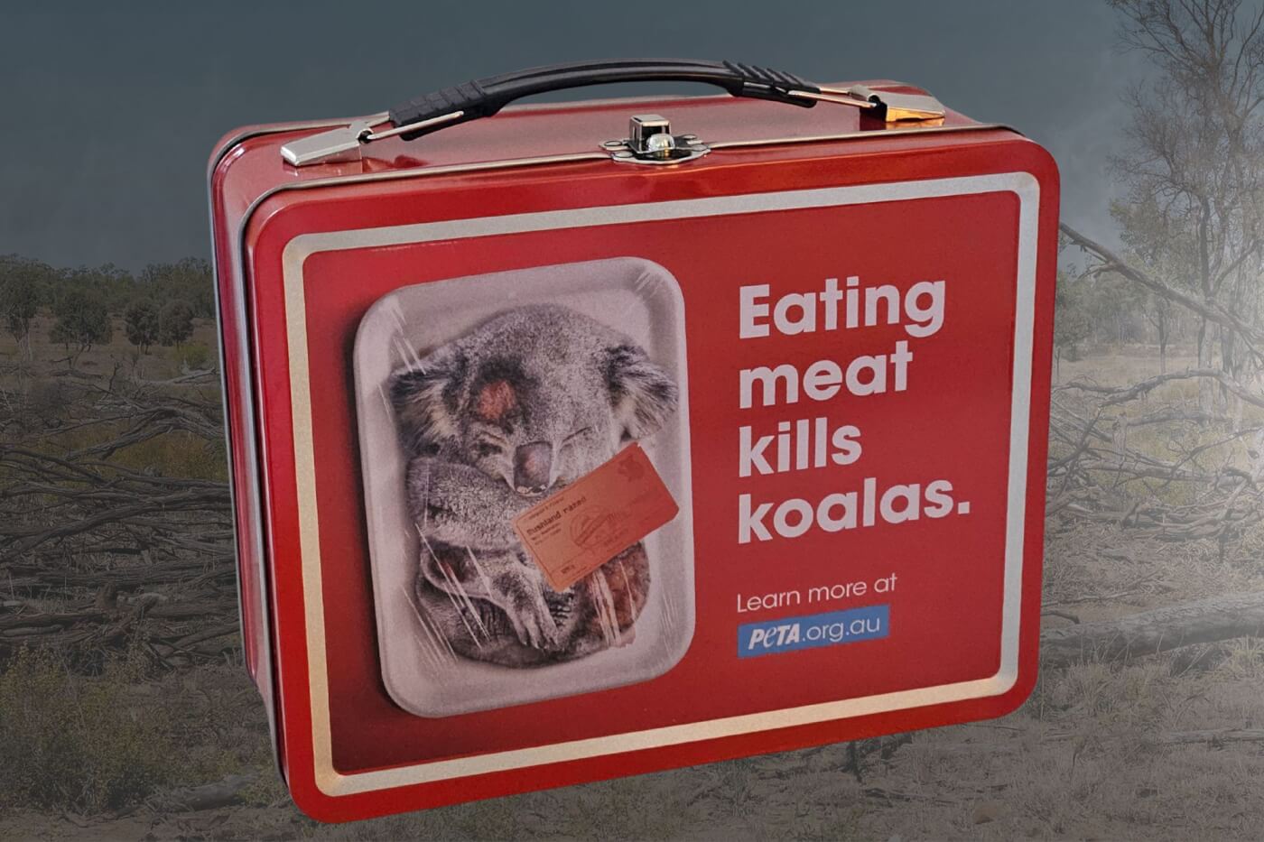 Koala Meat PETA Sends Environment Minister A “Dead Koala” Lunchbox