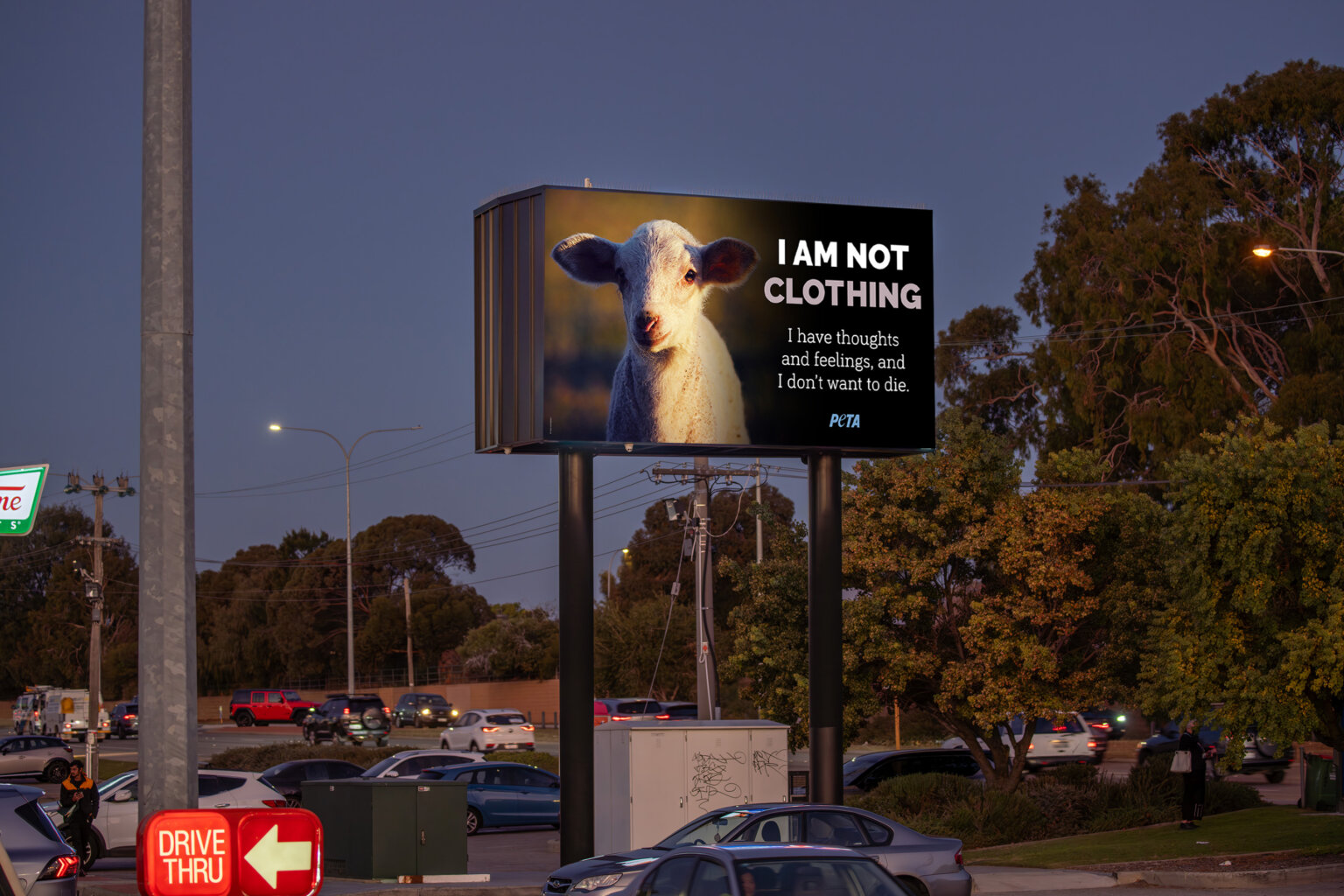 "I am Not Clothing" - New PETA Billboard Celebrates Sheep as ...