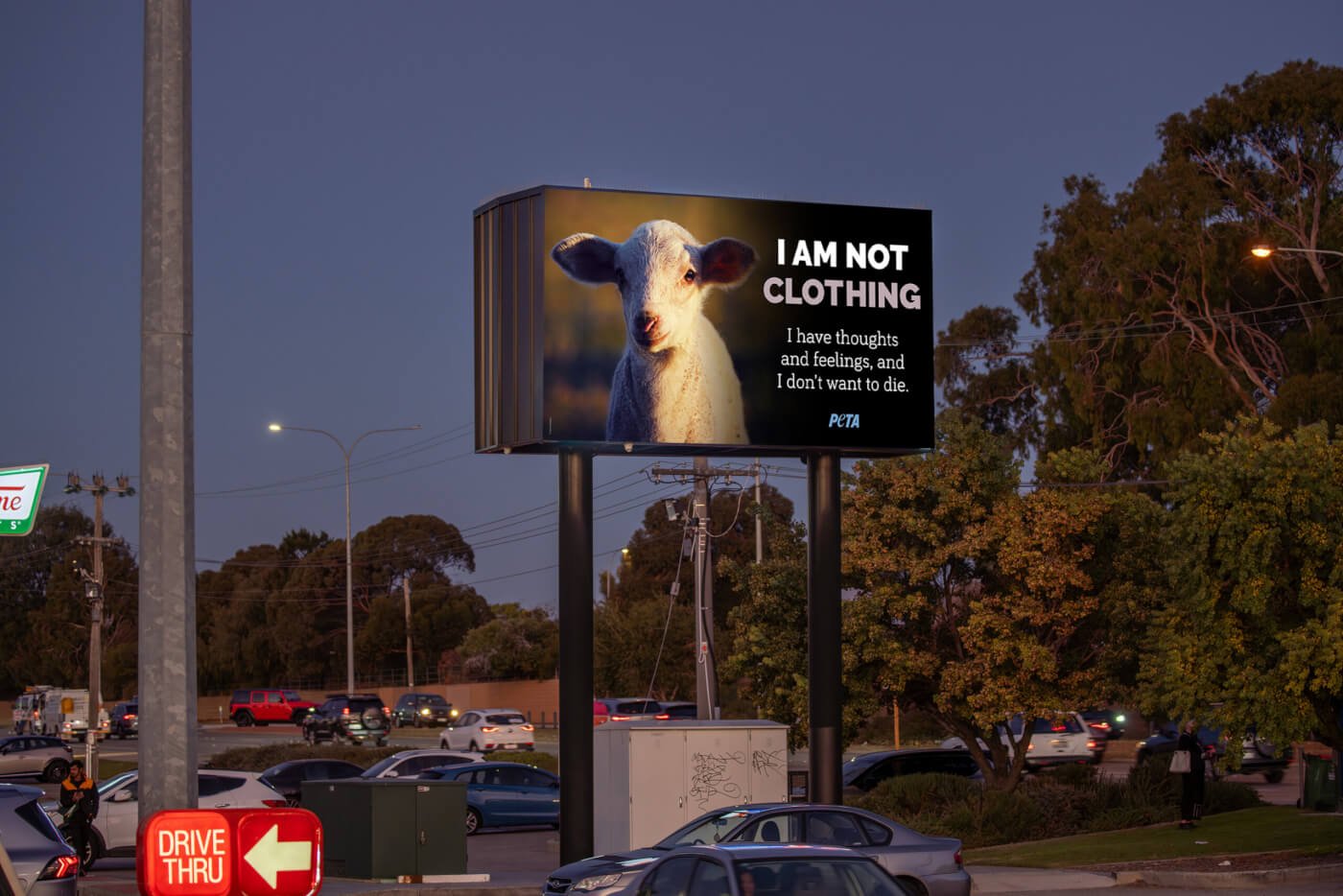 "I am Not Clothing" - New PETA Billboard Celebrates Sheep as ...