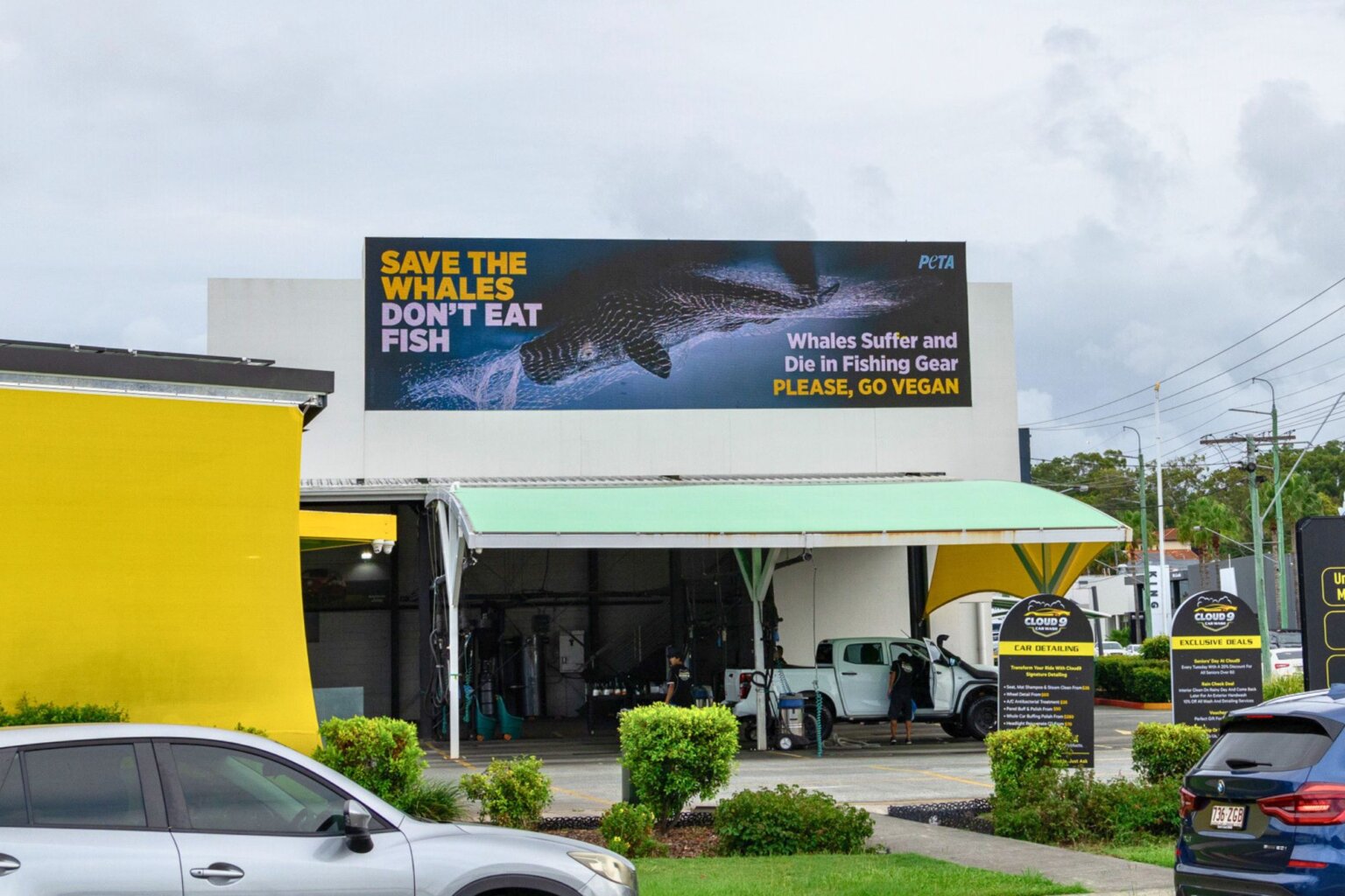 Whales Continue to be Entangled and Die in Fishing Gear - News - PETA ...