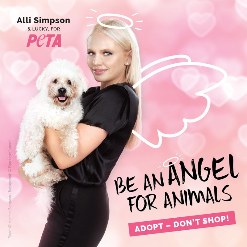 Alli Simpson Is an Angel for Animals! - News - PETA Australia