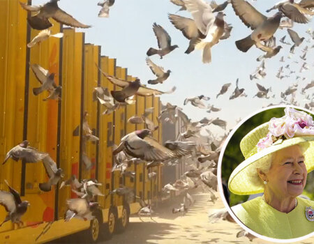 Arrested at COP28: Protestors Confront Flesh Peddlers - News - PETA ...