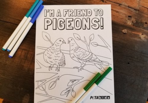 Get Creative With These Beautiful Animal Rights Colouring Pages - PETA ...