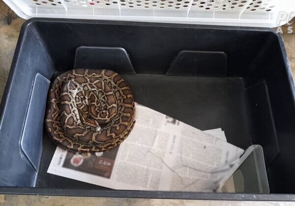 PETA | Animal Rights in Australia