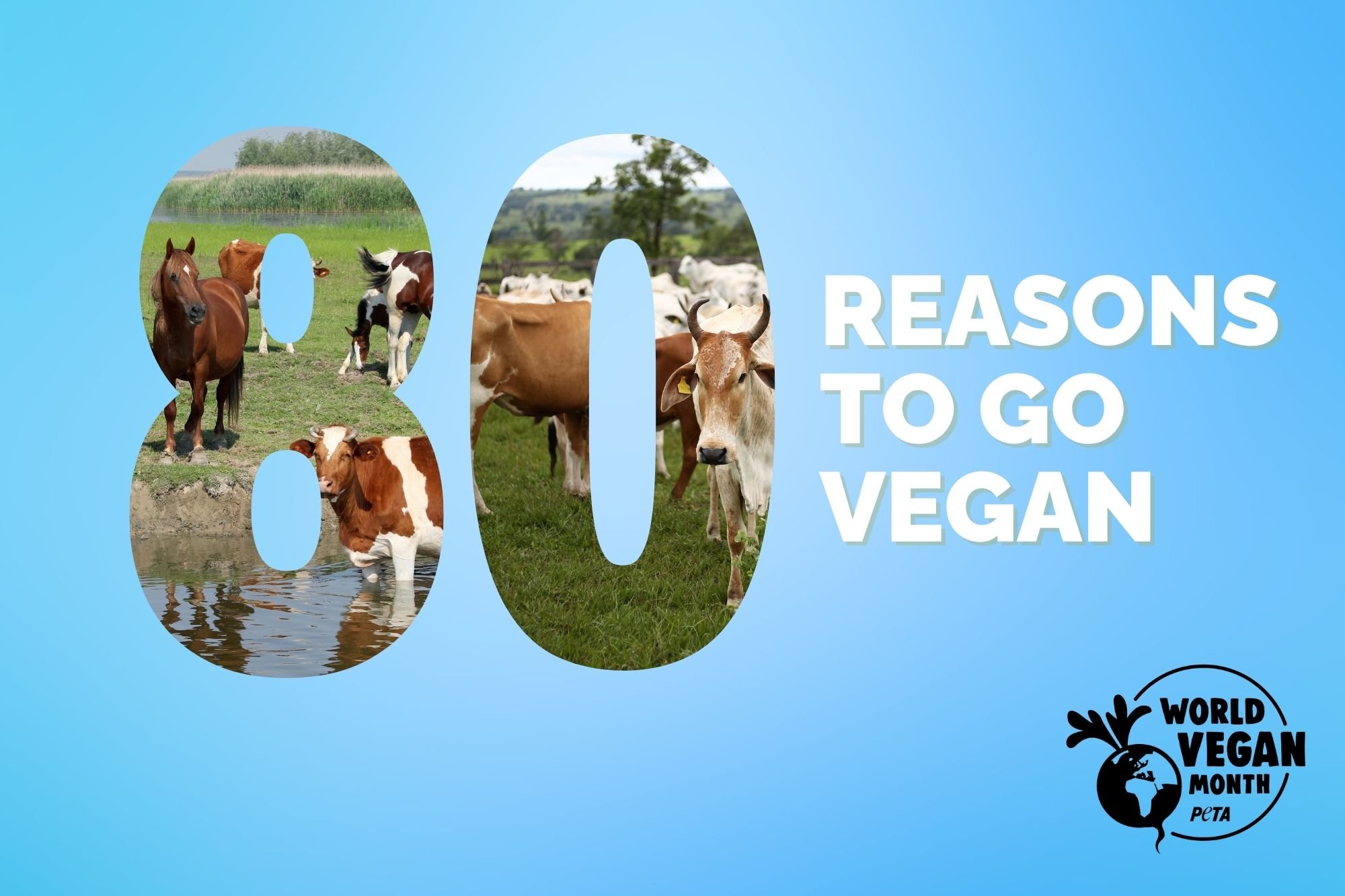 80 Reasons to Go Vegan This World Vegan Month - News - PETA Australia