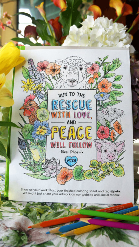 Get Creative With These Beautiful Animal Rights Colouring Pages - PETA ...