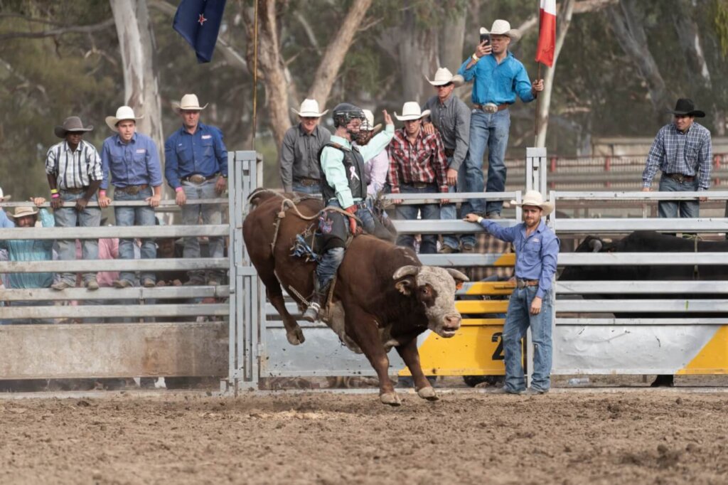 Rodeo Reimagined: Could This be Hobby Horsing’s Next Leap? - News ...