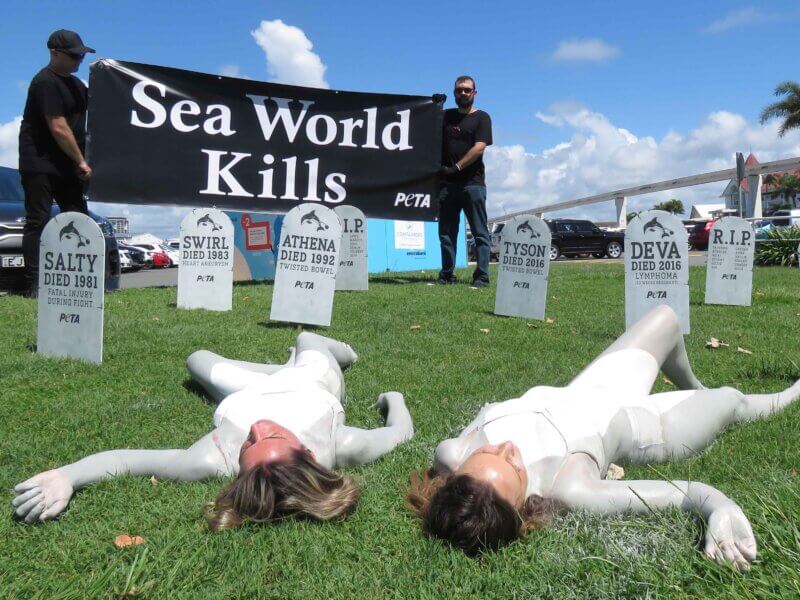Dolphin ‘Graveyard’ Protest Haunts Sea World - News - PETA Australia