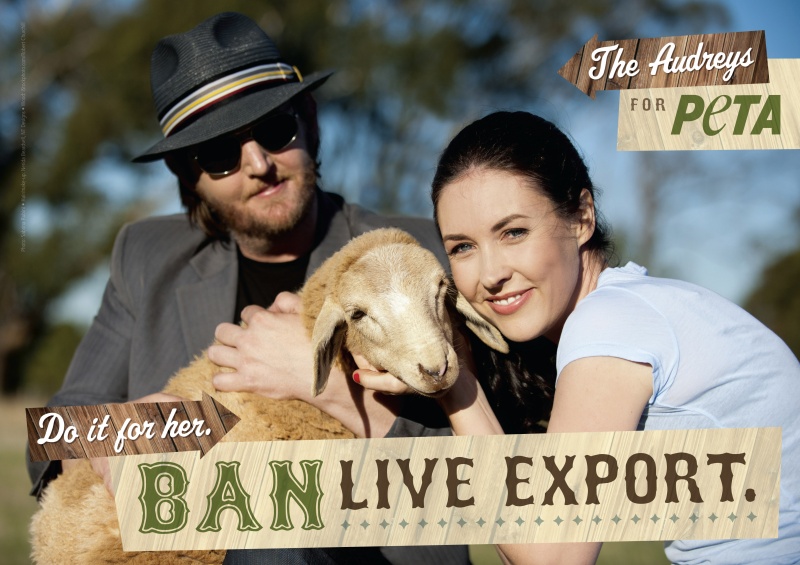 Live Export: Australia's Shame - News - PETA Australia