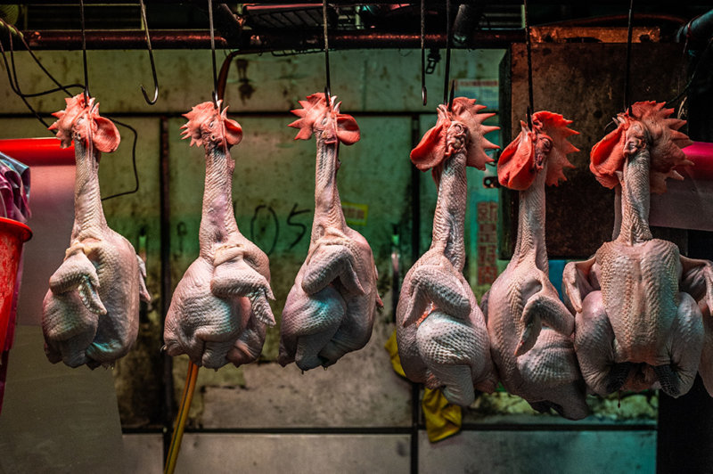 A Look Inside ‘Wet Markets,’ Where Experts Believe COVID-19 Originated ...