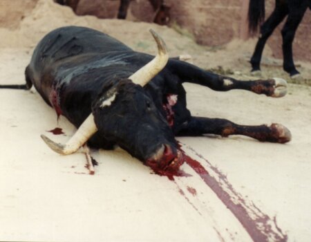 Kylie Jenner’s ‘Lion Head’ Dress: Why Everyone Is Worrying About the ...