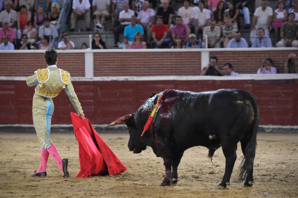 Contiki Stops Sending Tourists to Cruel Running of the Bulls - News ...