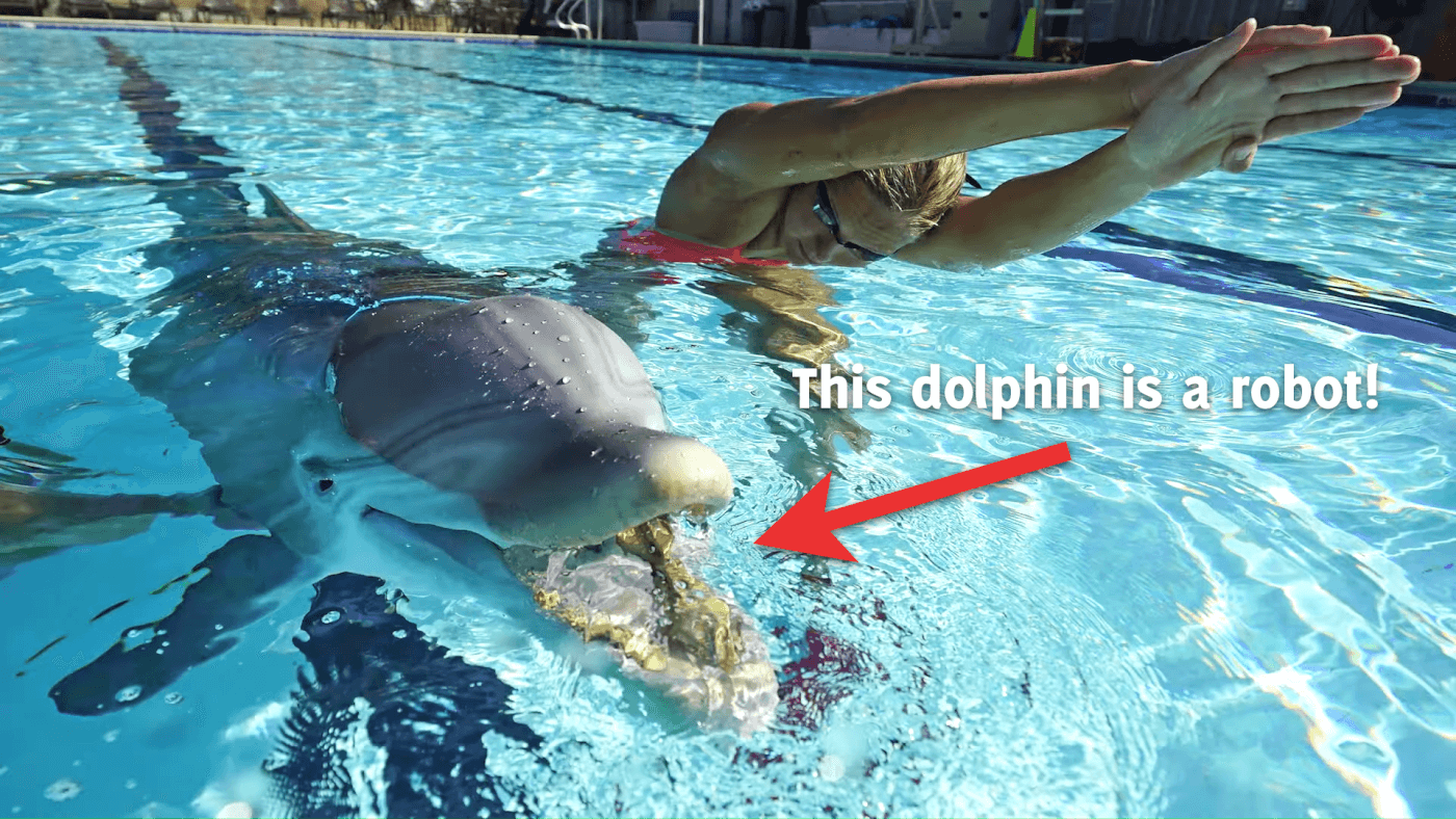 This Robotic Dolphin Could Mean the End of Marine Mammal Captivity ...