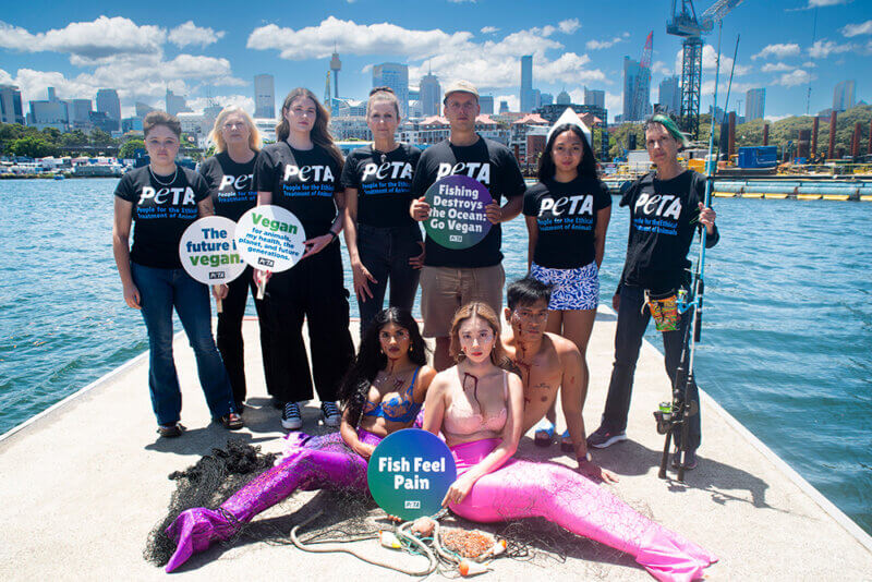 PETA ‘Mermaids’ Make a Splash at Sydney Fish Market - News - PETA Australia