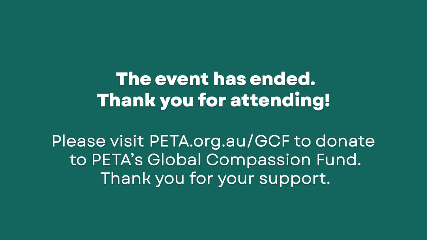 Welcome to PETA’s Global Compassion Fund Fireside Chat! - PETA Australia