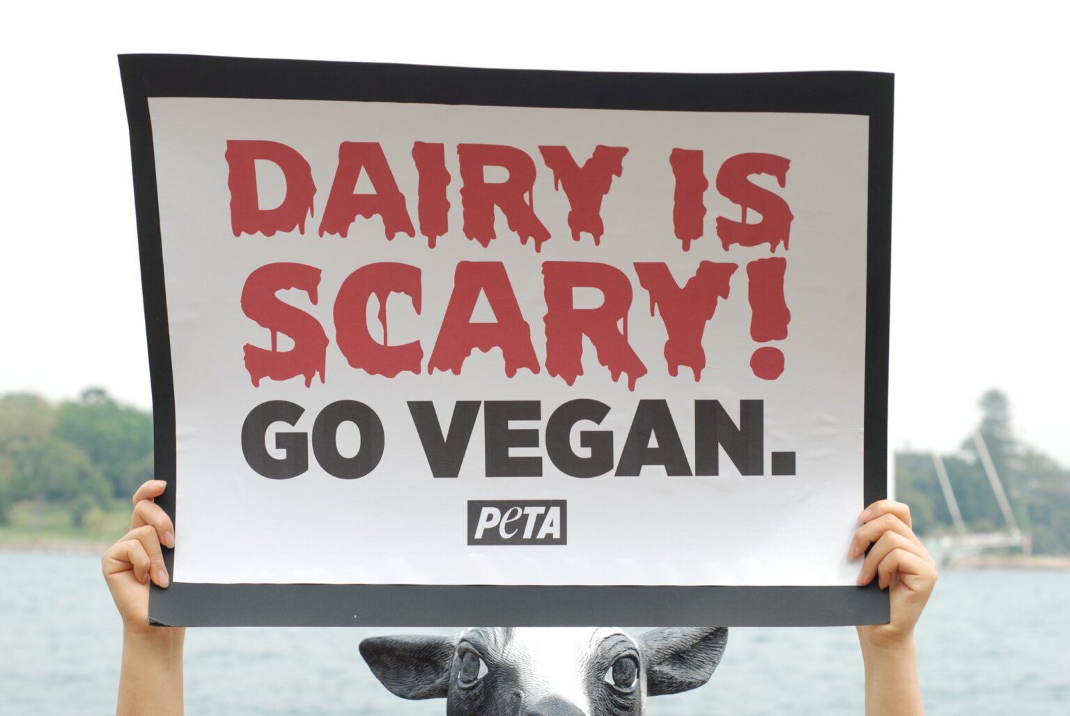 Darker Than Fiction: The Real Nightmares Animals Endure Every Day ...