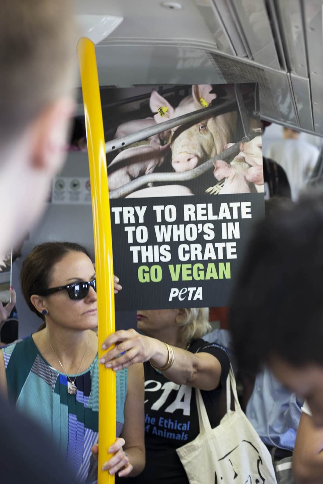 Vegan Train Takeover in Sydney - Can You Relate to Who's in This Crate ...