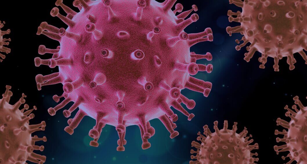 Monkeypox in Australia: Treat Animals Better to Avoid Zoonotic Diseases ...